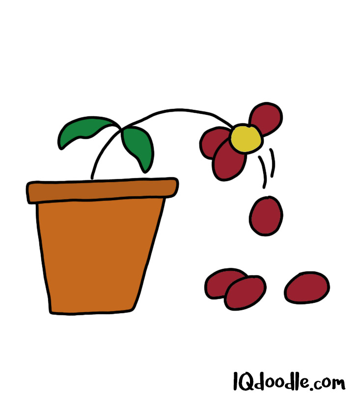 How to Doodle Neglected - IQ Doodle School